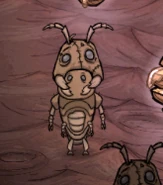 Mrówka (DSH) | Don`t Starve Wiki | Fandom