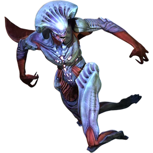 Summoner | Doom - Hunter's Moon Wiki | Fandom