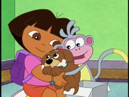 Dora's Got a Puppy | Dora the Explorer Wiki | Fandom