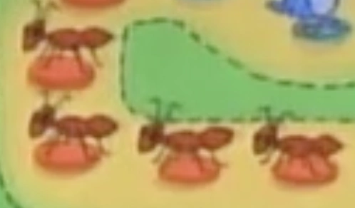 Ants | Dora the Explorer Wiki | Fandom