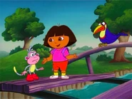 Señor Tucán | Dora the Explorer Wiki | Fandom