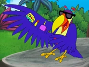 Señor Tucán | Dora the Explorer Wiki | Fandom