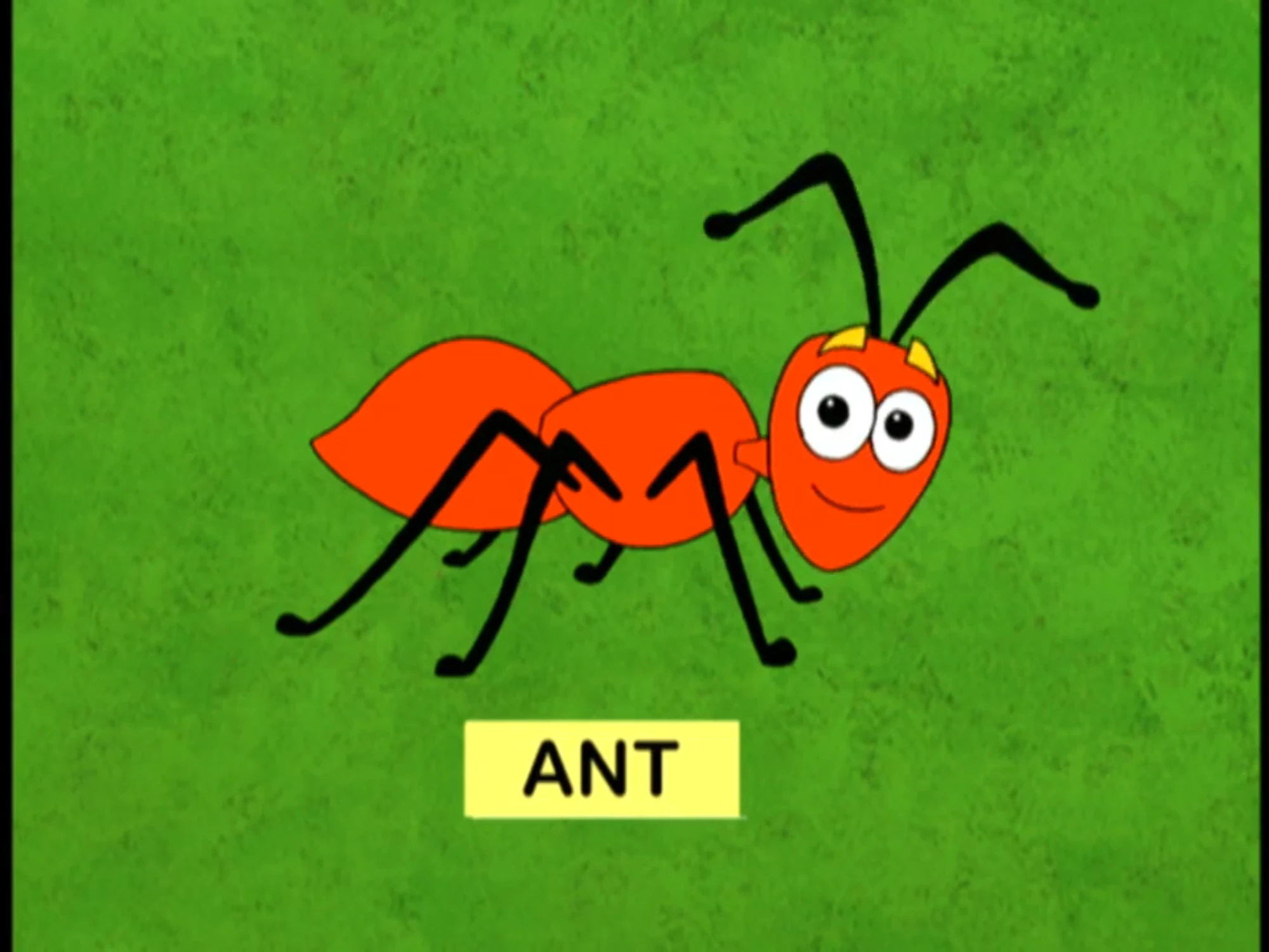 ABC Animals | Dora the Explorer Wiki | Fandom