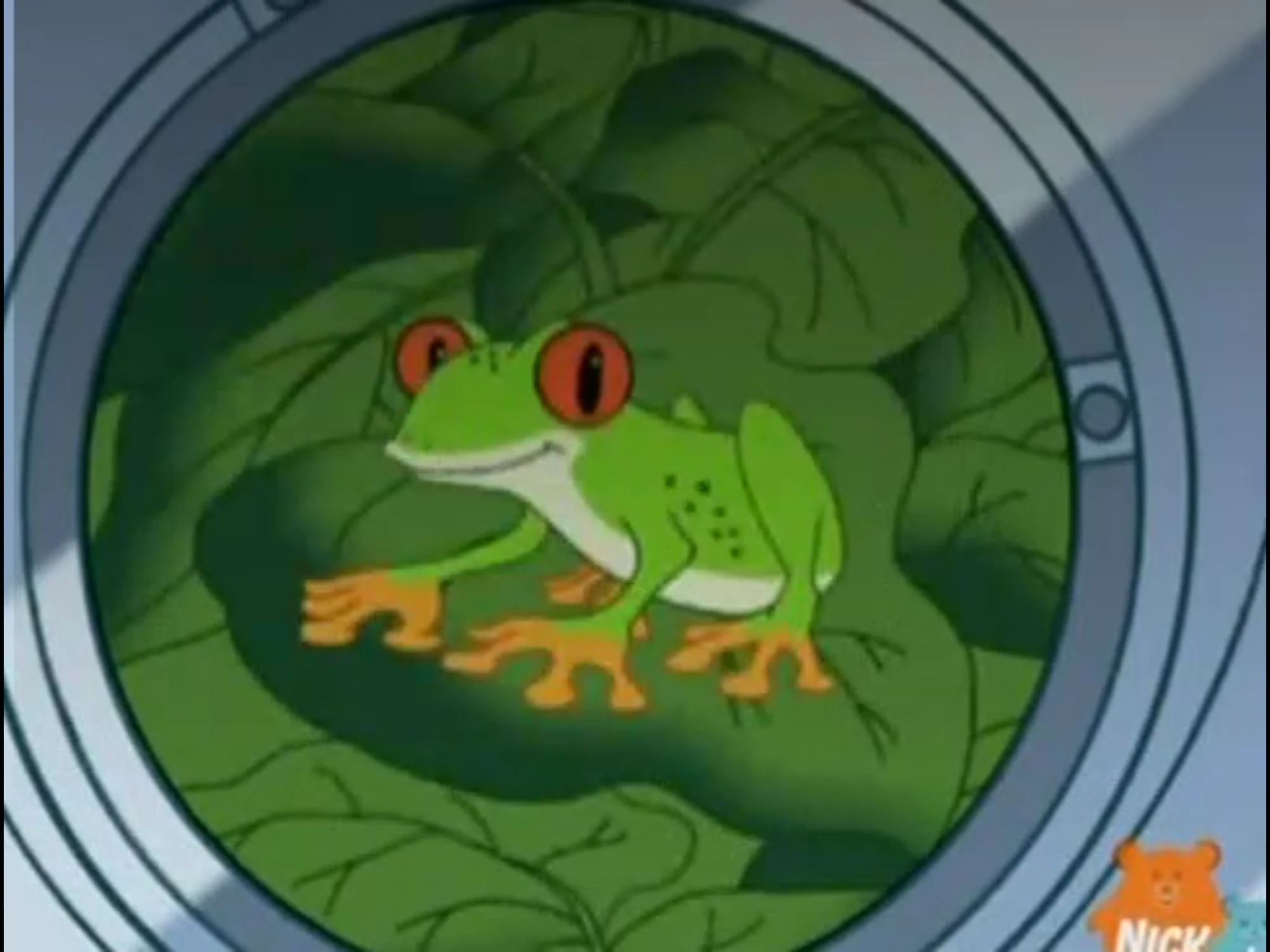 Red eyed treefrog | Dora the Explorer Wiki | Fandom