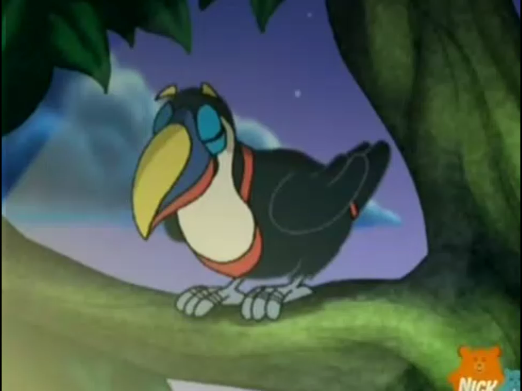 Toucan | Dora the Explorer Wiki | Fandom