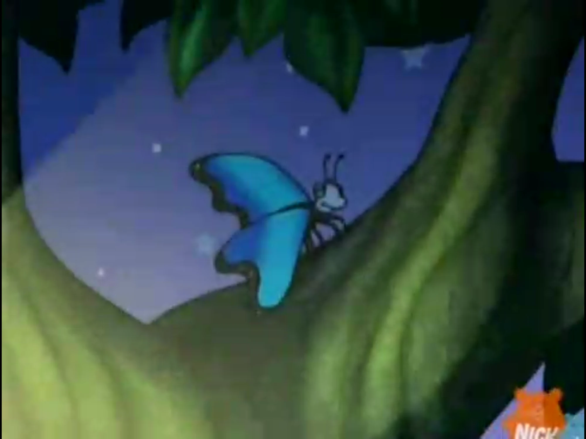 Blue morpho butterfly | Dora the Explorer Wiki | Fandom