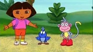 Baby Blue Bird | Dora the Explorer Wiki | Fandom