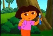 Dora, La Música | Dora the Explorer Wiki | Fandom