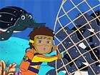Save the Sea Turtles | Dora the Explorer Wiki | FANDOM powered by Wikia