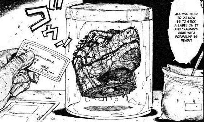 Kaiman's Severed Head | Dorohedoro Wiki | Fandom