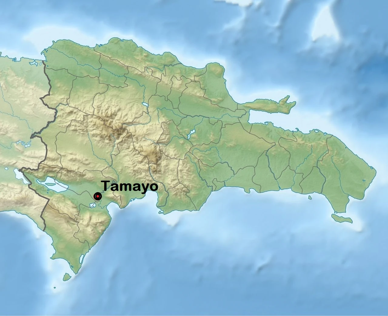 Tamayo | DR Local Wiki | Fandom