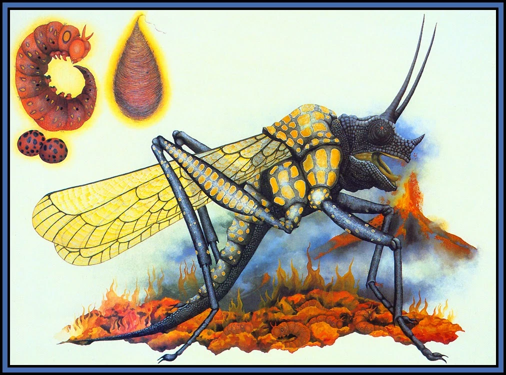 Pyrallis | Drachen Wiki | Fandom