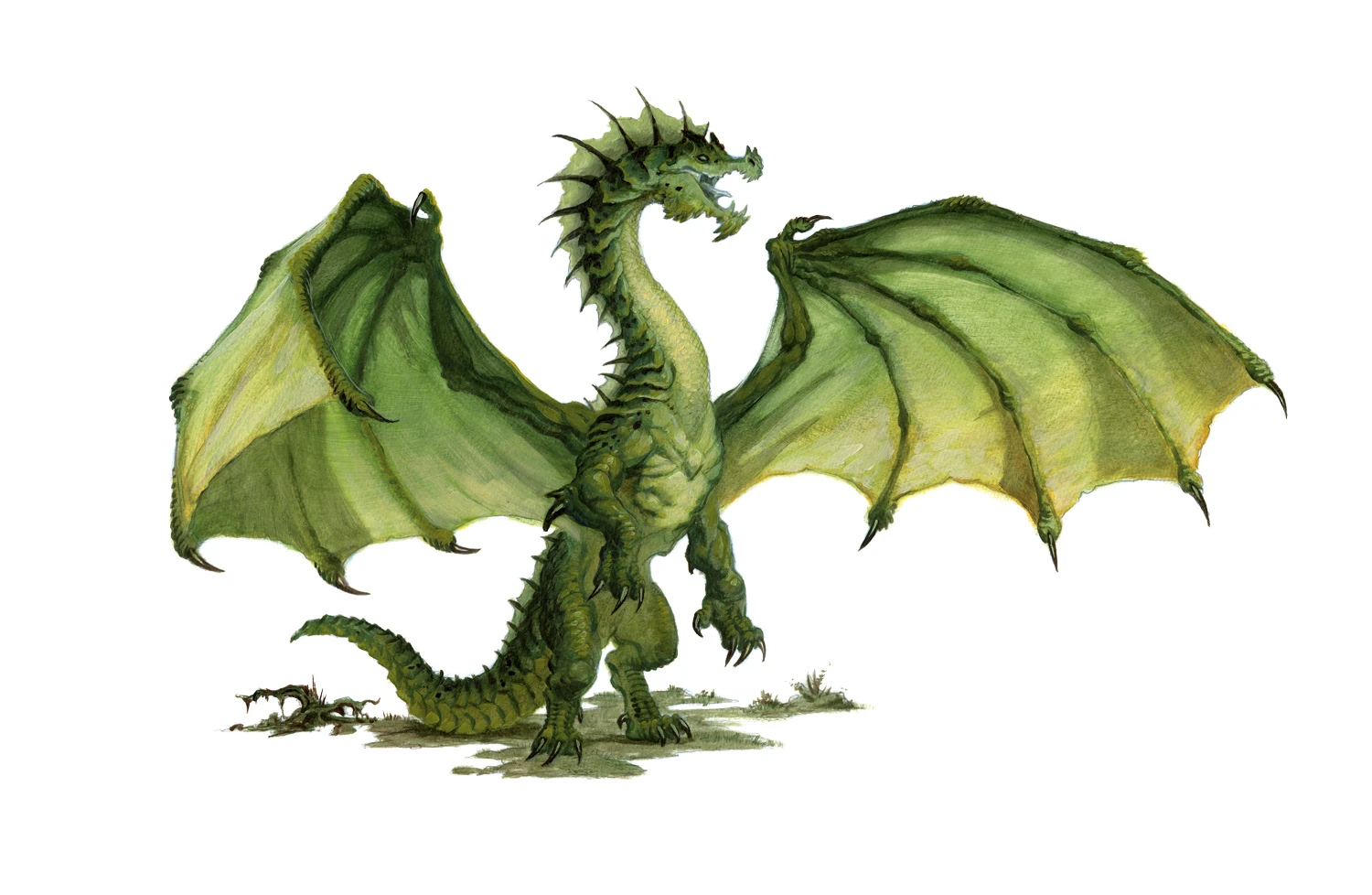 Bild - Grüner Drache.jpg | Drachen Wiki | FANDOM powered by Wikia