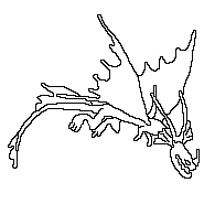 Bild - Todsinger ausmalbild.jpg.png | Drachenzähmen leicht gemacht OC ...