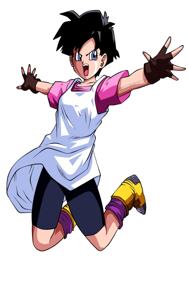 Image - Videl Second.png | Dragon Ball Z Wikia | FANDOM powered by Wikia
