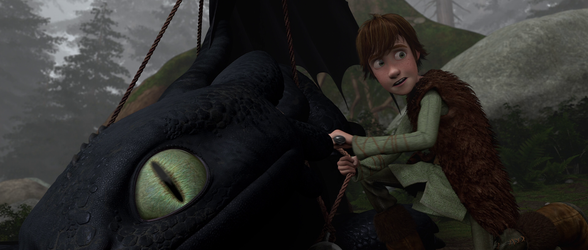 Hiccup Horrendous Haddock Iii Dragon Trainer Wiki Fandom Powered By