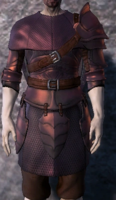 Sturdy Heavy Chainmail | Dragon Age Wiki | Fandom