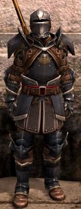 Orlesian Lancer | Dragon Age Wiki | Fandom