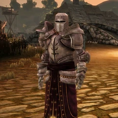 Templar Order | Dragon Age Wiki | Fandom