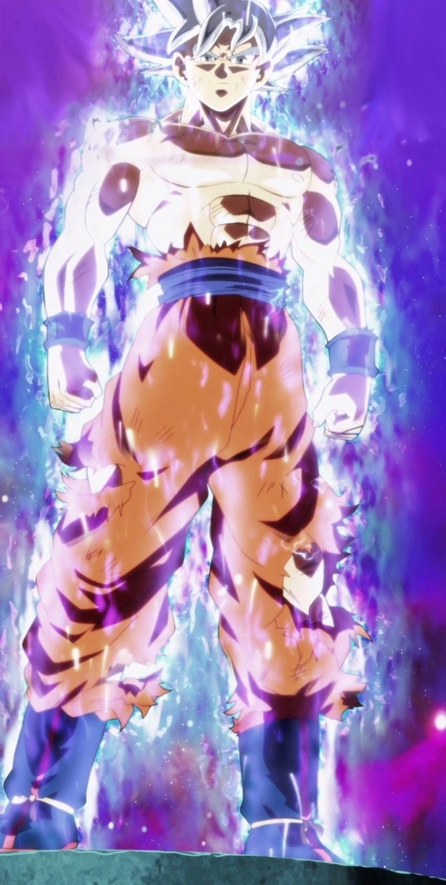 Ultra Instinct | Dragon Ball World Wiki | Fandom