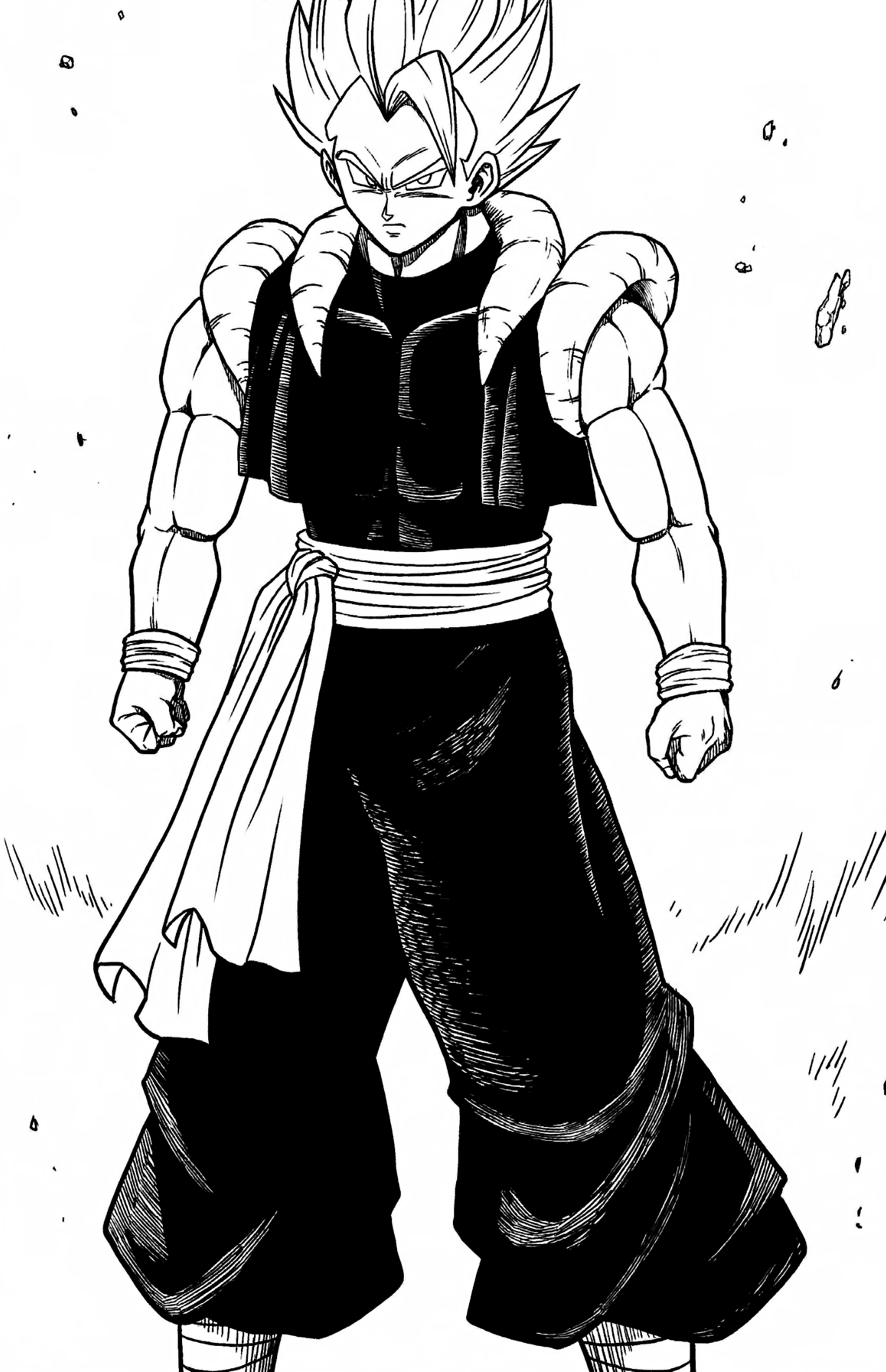 Gogeta: Xeno | Dragon Ball Wiki | FANDOM powered by Wikia Gogeta: Xeno | Dragon Ball Wiki | FANDOM powered by Wikia