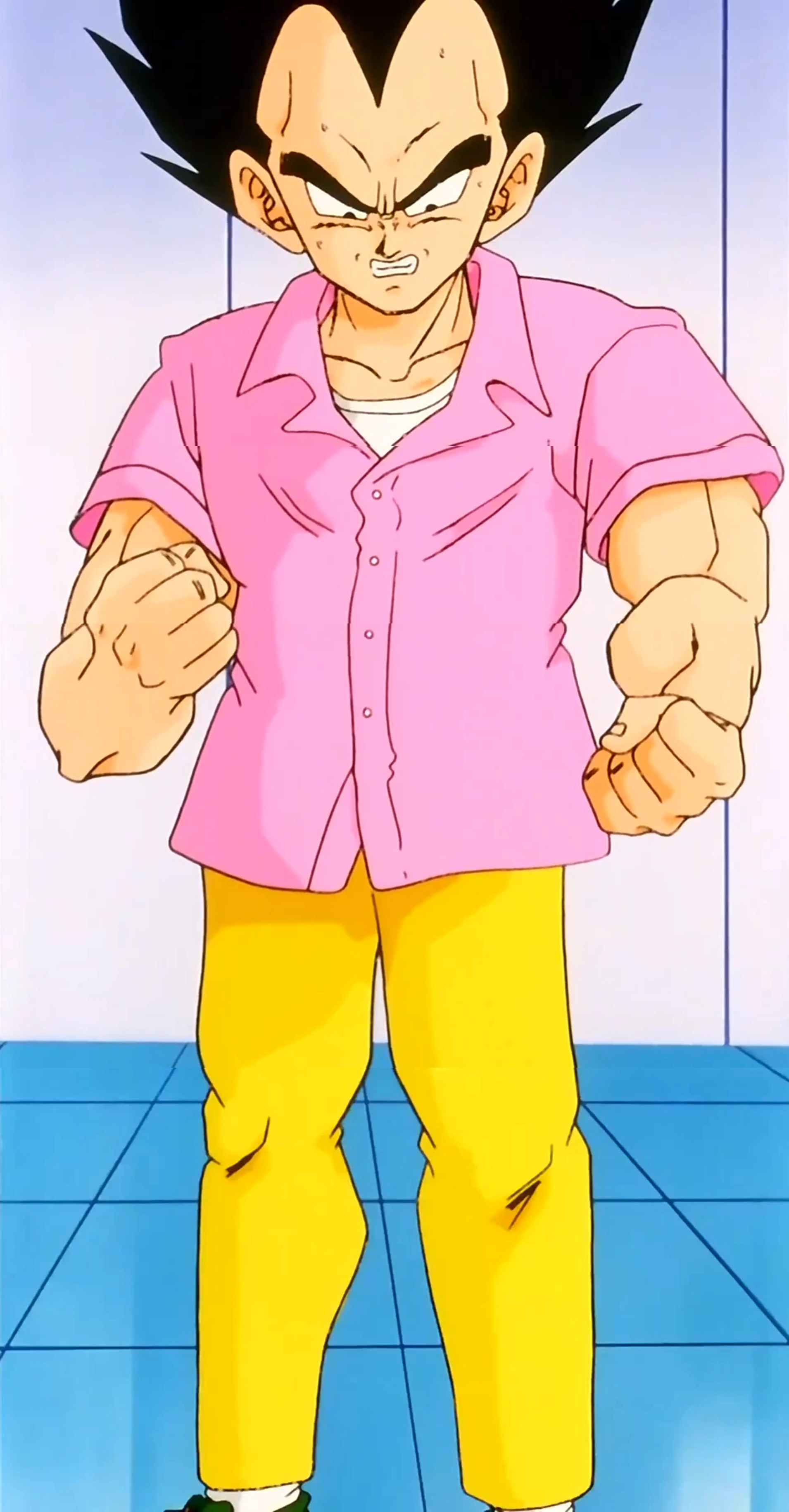 Imagen - Vegeta Ropa Rosa Completo.png | Dragon Ball Wiki | FANDOM ...