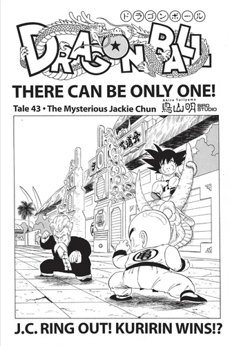 The Mysterious Jackie Chun | Dragon Ball Wiki | Fandom