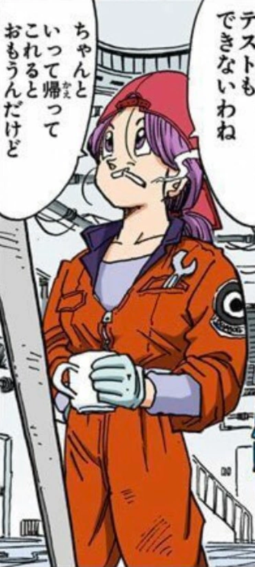 Bulma del Futuro | Dragonball Wiki | Fandom