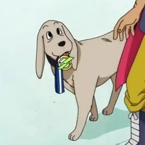 Il prezzo della pace | Dragonball Wiki | FANDOM powered by Wikia