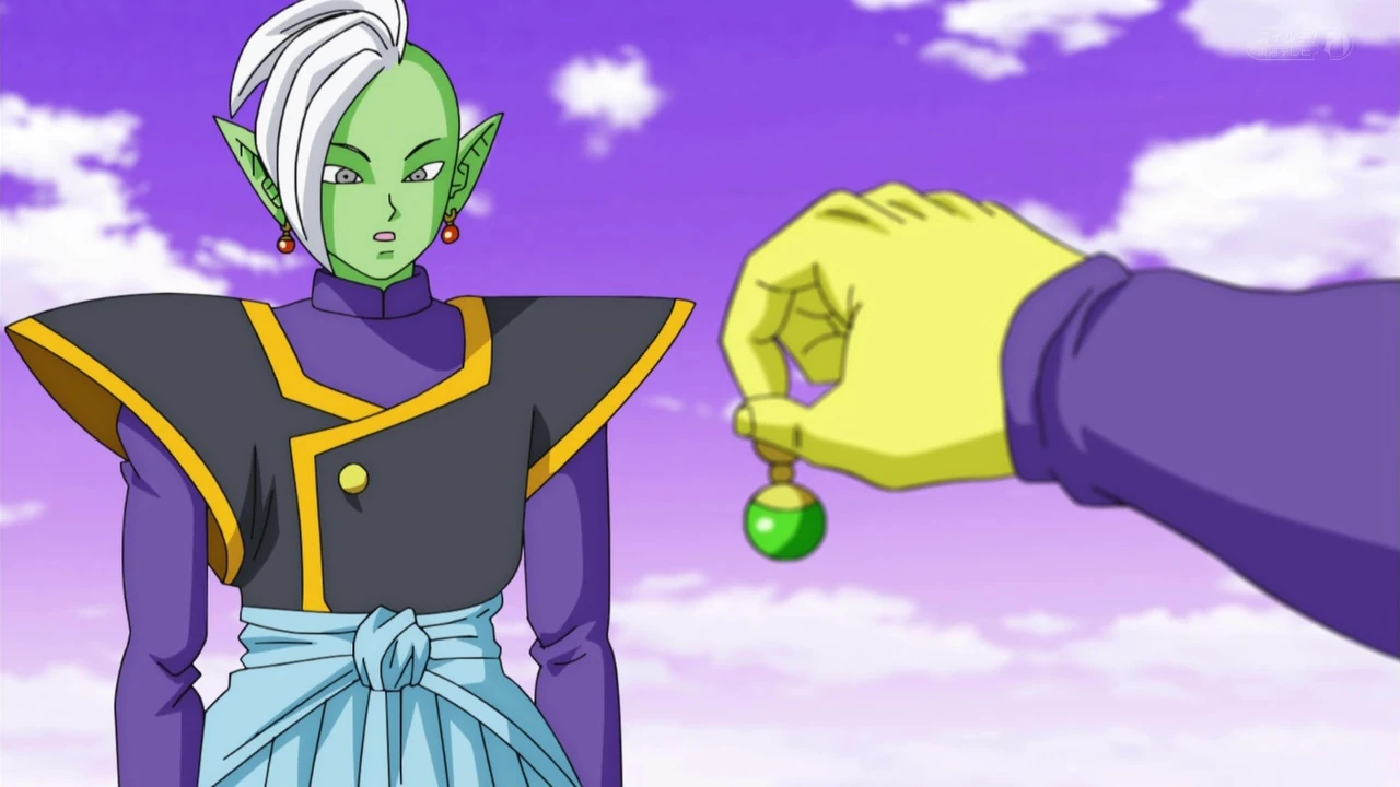 Potara | Wiki Dragon Ball | FANDOM powered by Wikia