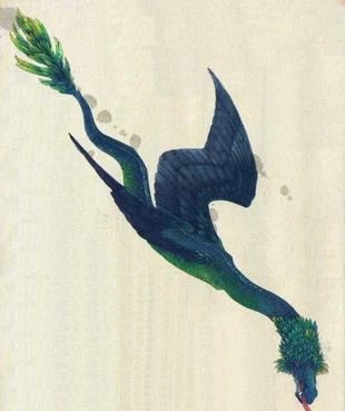 Mexican Amphithere | Dragonology Wiki | Fandom