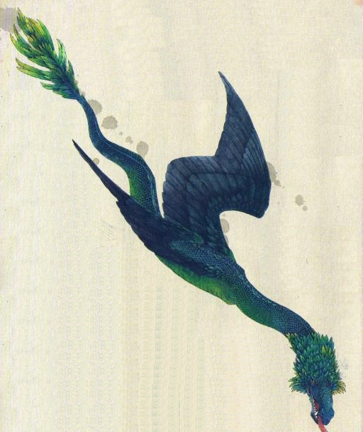 Mexican Amphithere | Dragonology Wiki | Fandom