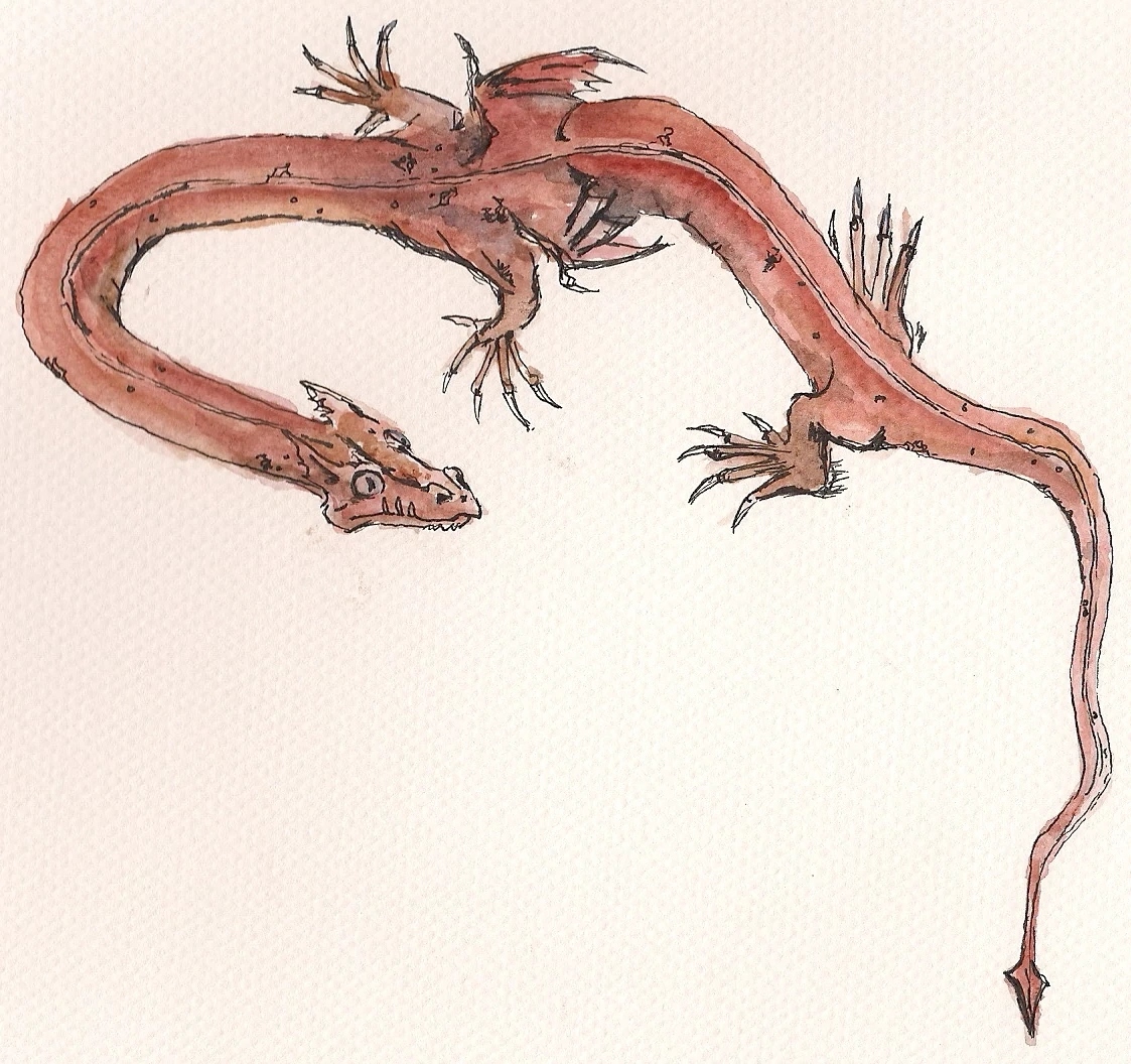 Bucca | Dragonology Wiki | Fandom