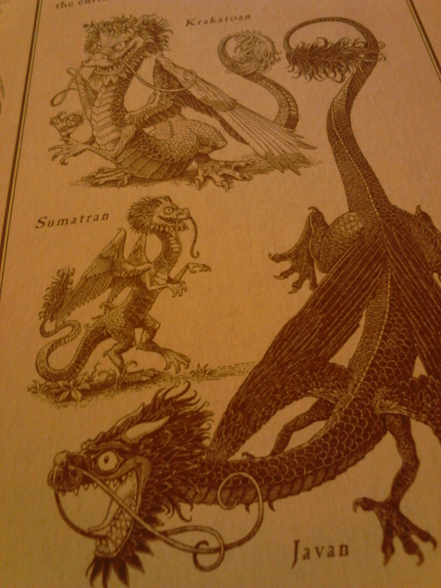 Indonesian Dragon | Dragonology Wiki | FANDOM powered by Wikia