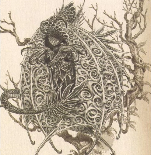 Amazonian Amphithere (presumed) | Dragonology Wiki | Fandom