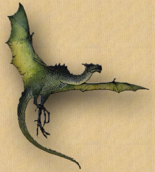 Wyvern | Dragonology Wiki | Fandom