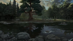 Katolis | The Dragon Prince Wiki | Fandom