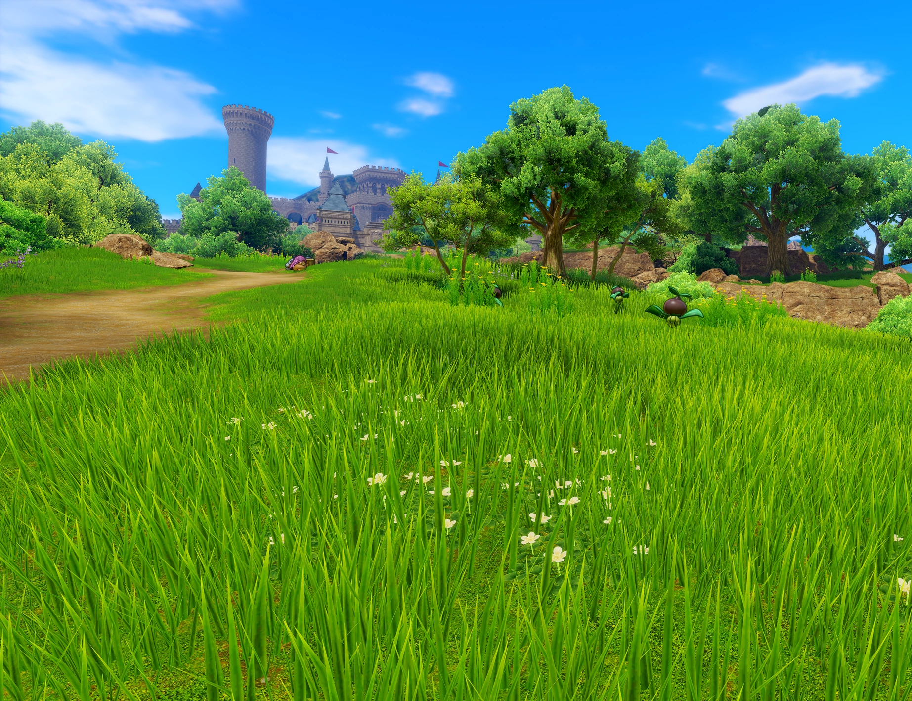 Heliodor Region | Dragon Quest Wiki | Fandom