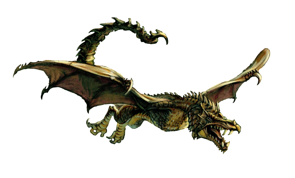 Image - Wyvern (Dungeons & Dragons) (main).png | Dragons | FANDOM ...