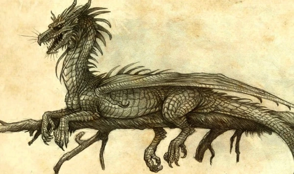 Dracos Occidentalis Magnus | Wiki Dragons | FANDOM powered by Wikia
