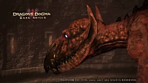 Strigoi | Dragon's Dogma Wiki | Fandom
