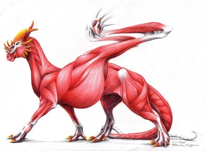 Image - Muscle dragon.jpg | DragonVale Wiki | FANDOM powered by Wikia