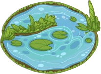 Pond Dragon | DragonVale Wiki | Fandom