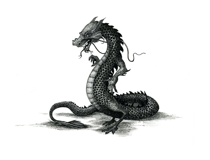 Drakon | Draken wiki | FANDOM powered by Wikia