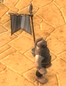 Cloak of Insight | Drakensang Online Wiki | Fandom