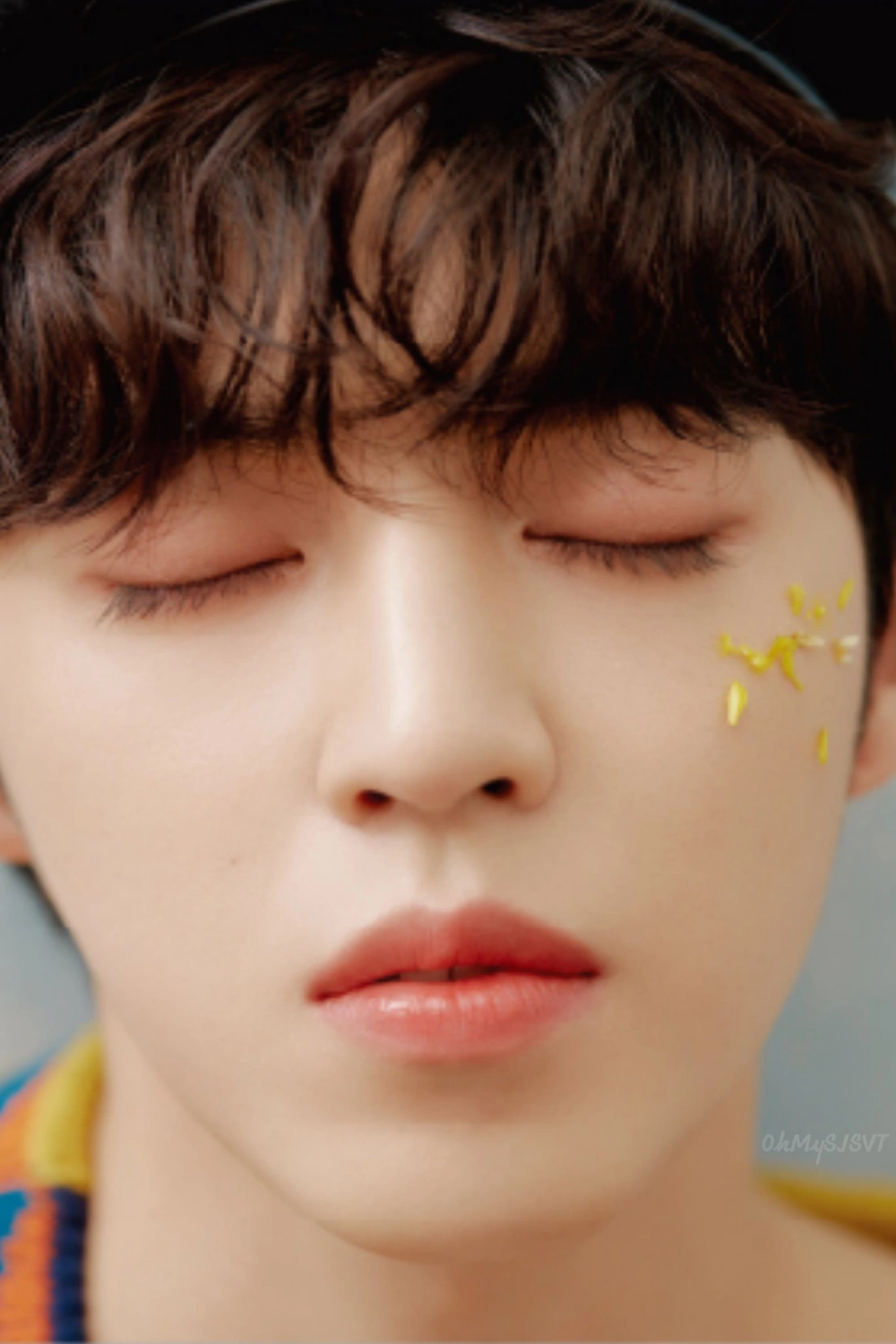 S.Coups | Wiki Drama | Fandom