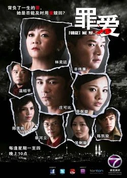 Forget Me Not | Wiki Drama | Fandom