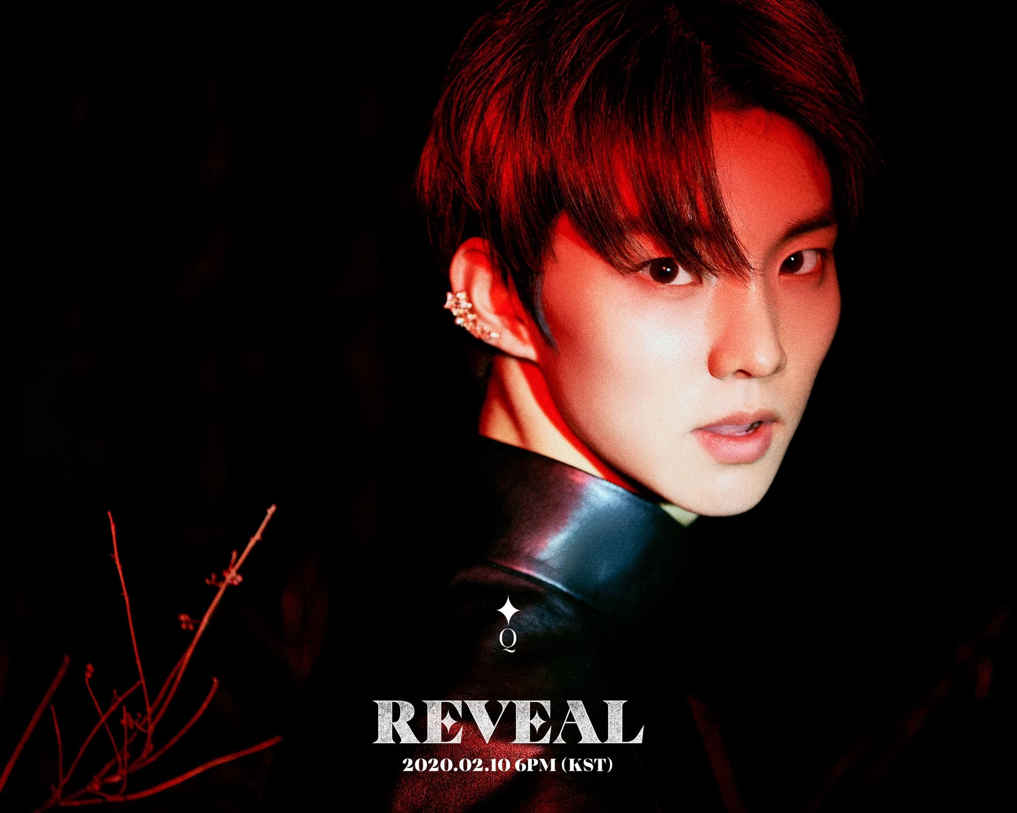 Q | Wiki Drama | Fandom