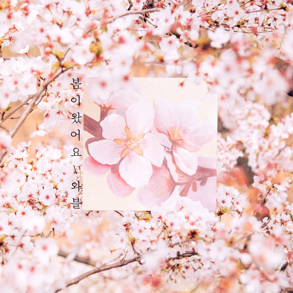 WABLE | Wiki Drama | Fandom