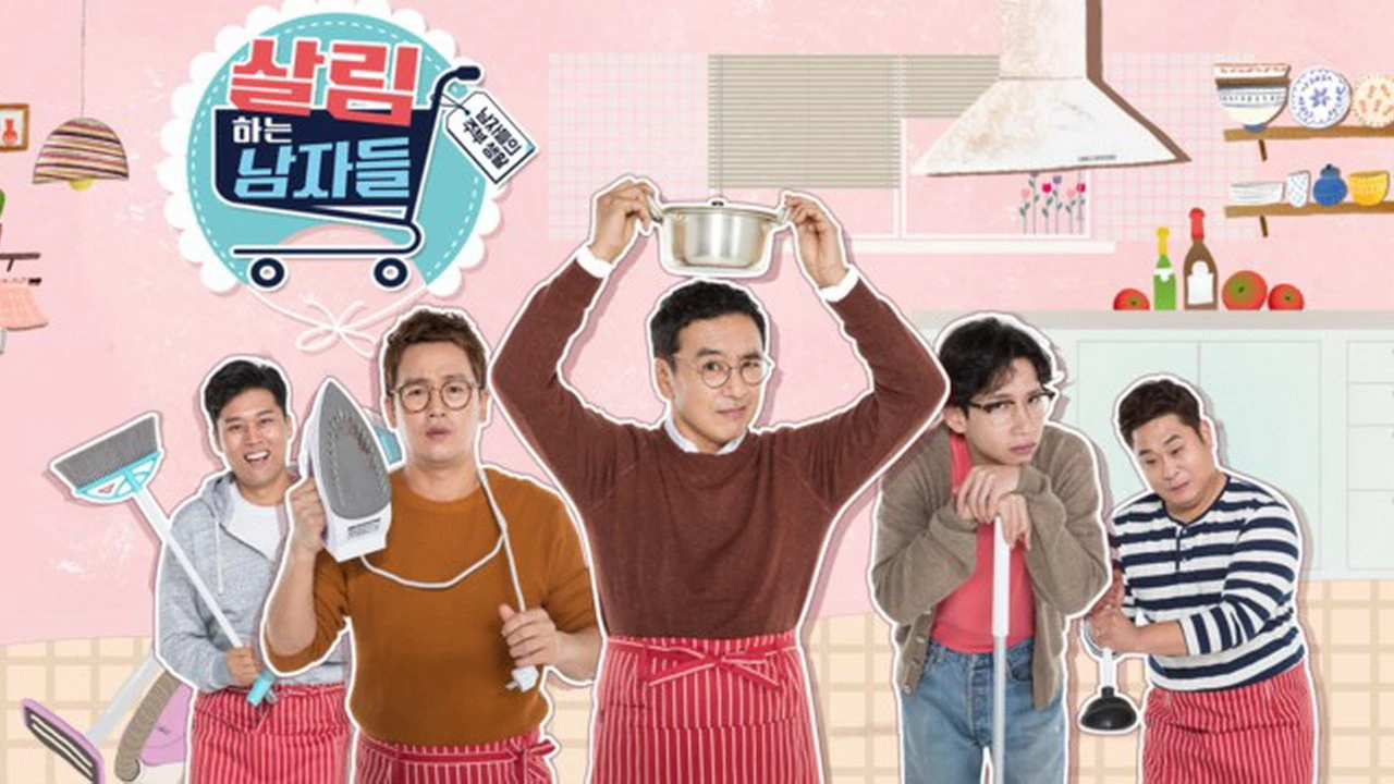 Mr. House Husband | Wiki Drama | Fandom